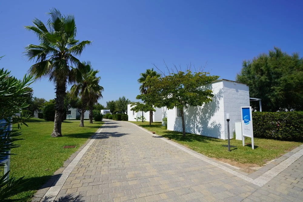 Futura Club Torre Rinalda, Vacanze Puglia, villaggi, Offerte Mare ...